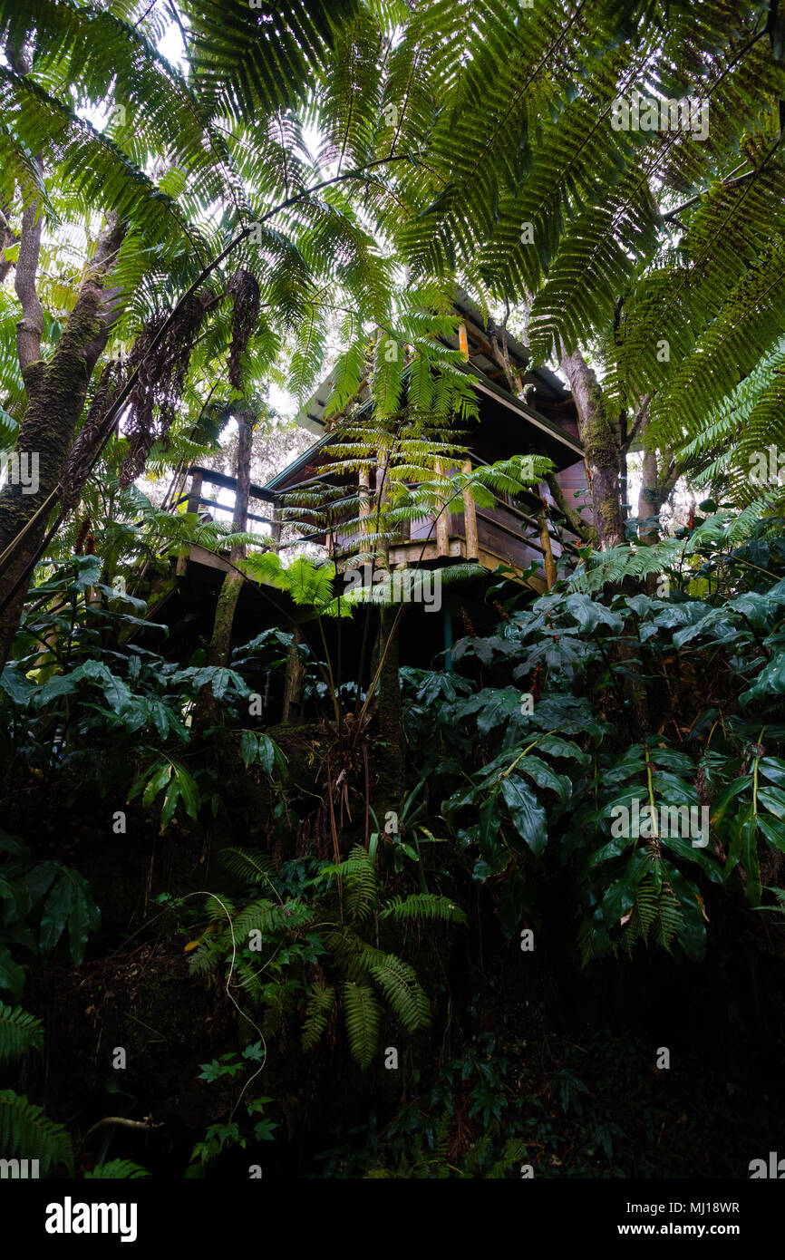 Hawaii Rainforest Treehouse Detail Stock Photo - Alamy