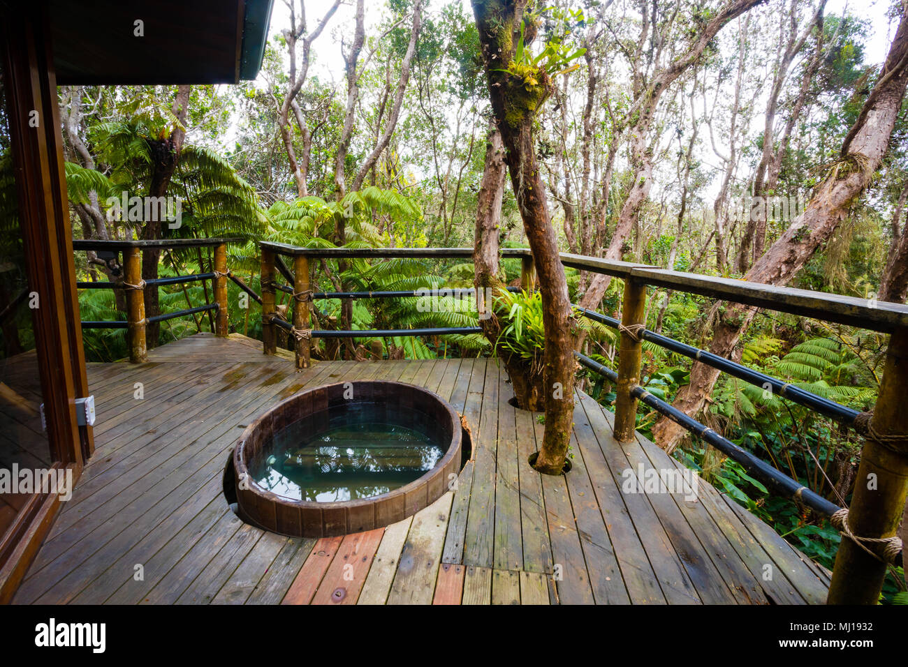 Hawaii Rainforest Treehouse Detail Stock Photo - Alamy