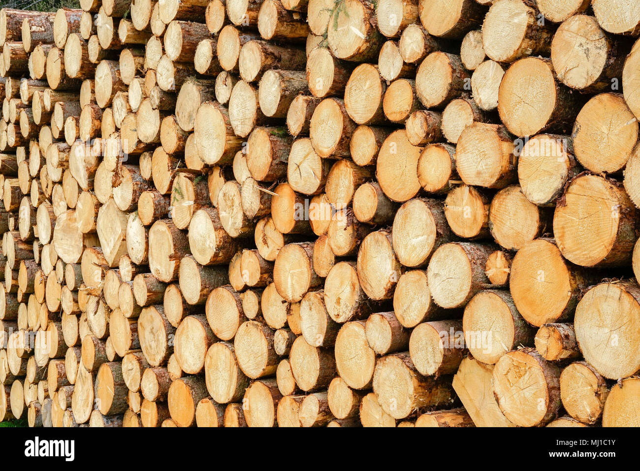 timber harvesting in the bavarian alpes,Germany Stock Photo - Alamy