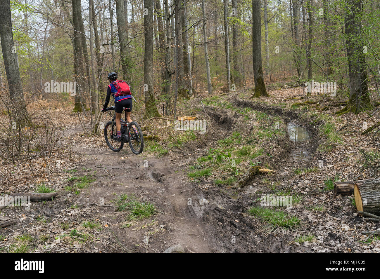 Soil damage hi-res stock photography and images - Alamy