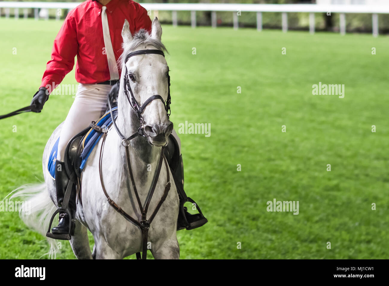 Endurance horse race hi-res stock photography and images - Alamy
