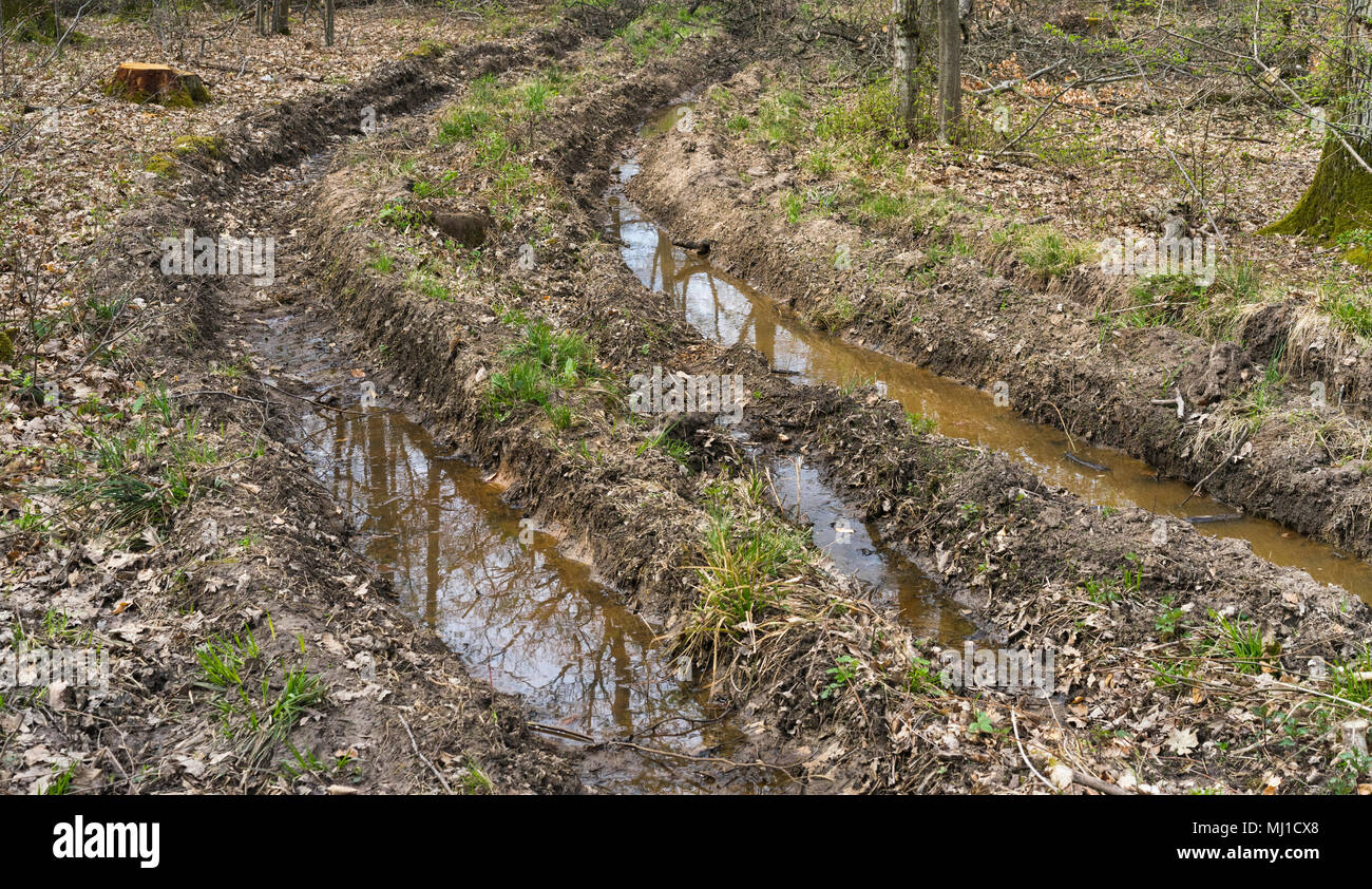 forest soil destruction by big timber harvesting machines Stock Photo ...