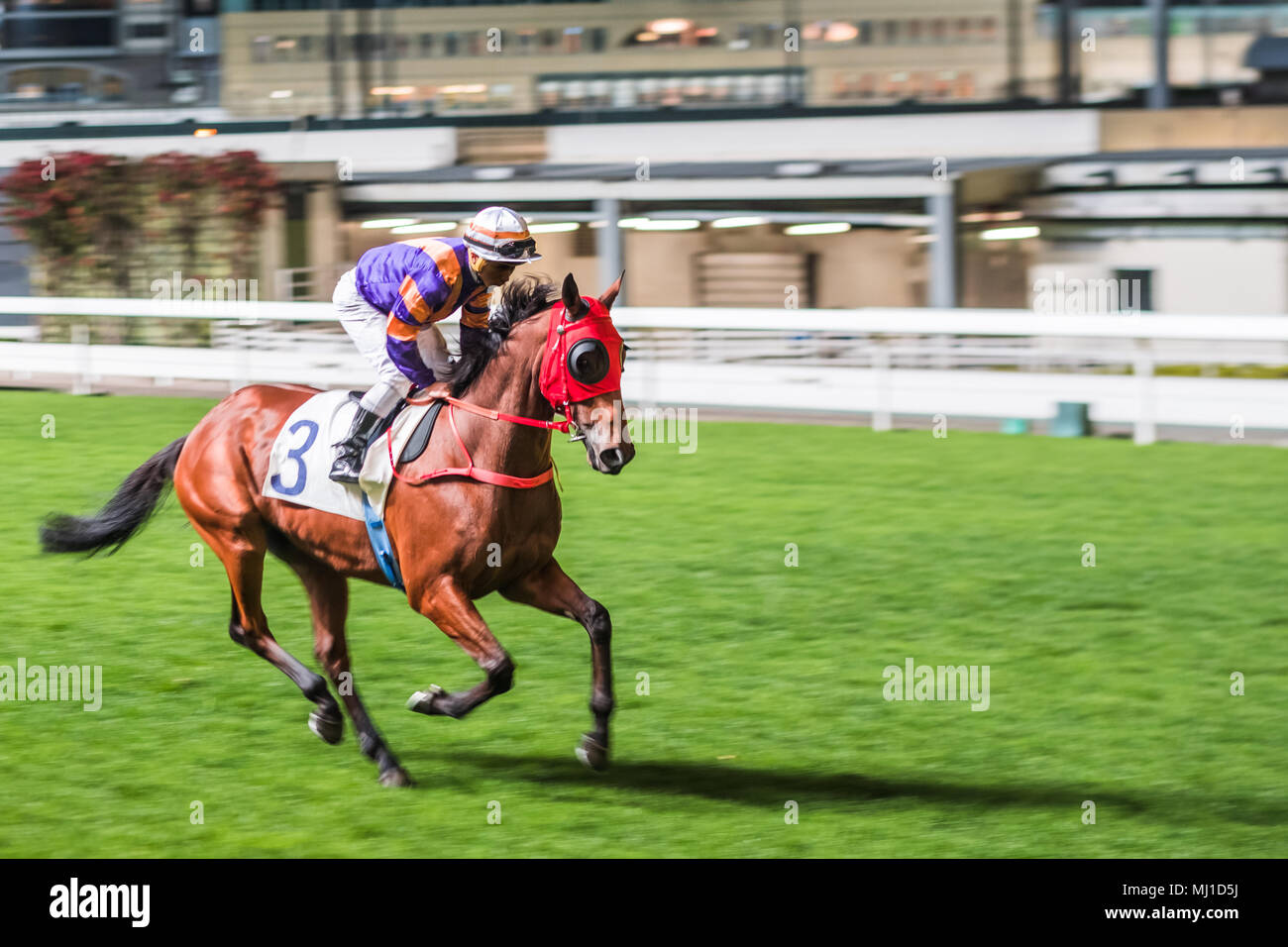 Thoroughbred racehorse jockey hi-res stock photography and images - Alamy