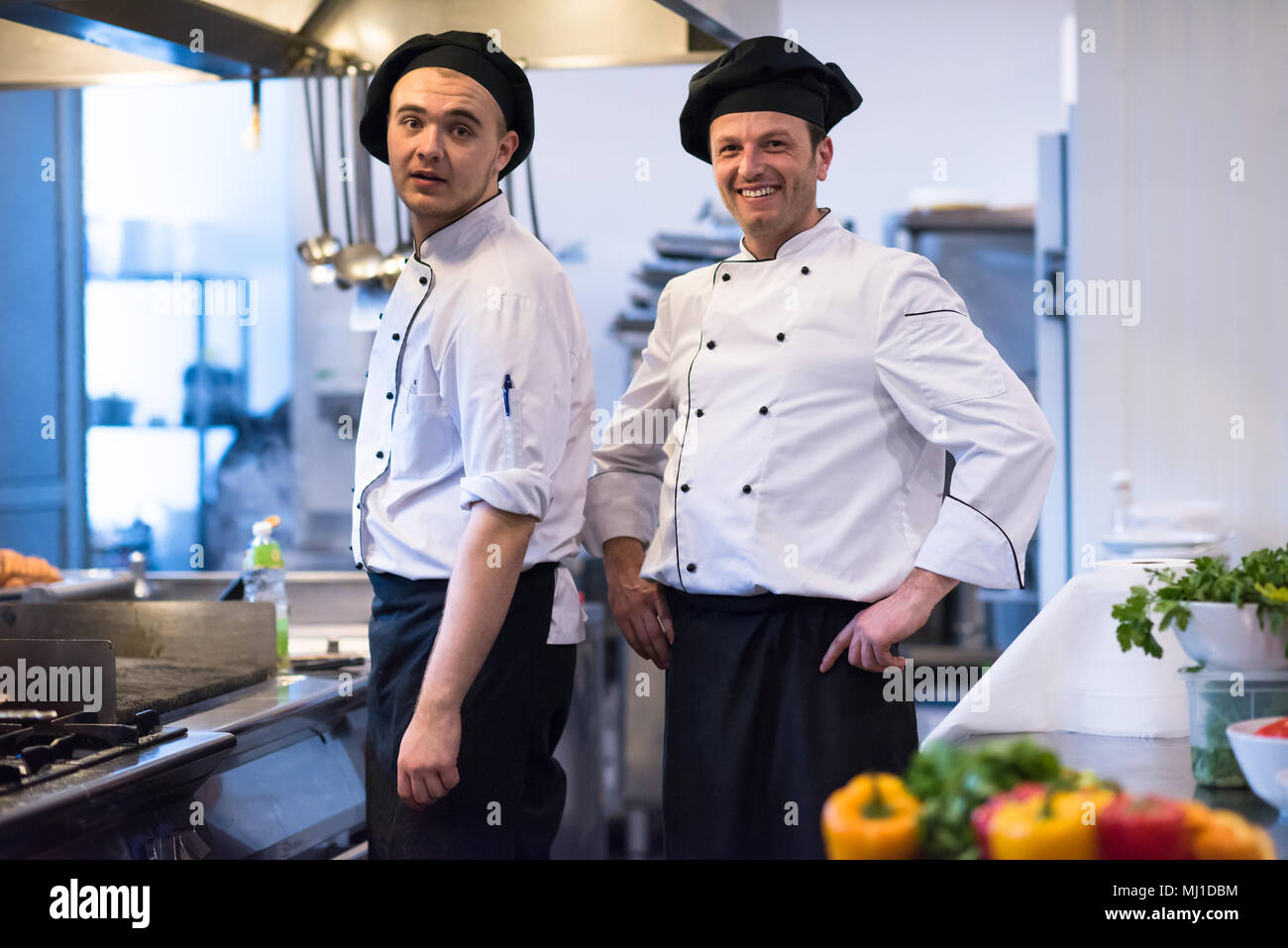 Portrait of two chefs standing together in commercial kitchen at ...