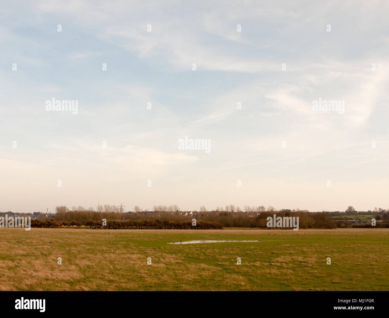 large open farm field empty grass grassland spring sky; essex; england ...