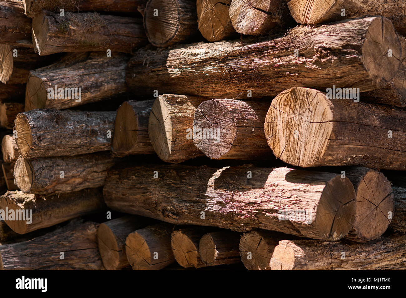 Timber logs square hi-res stock photography and images - Alamy