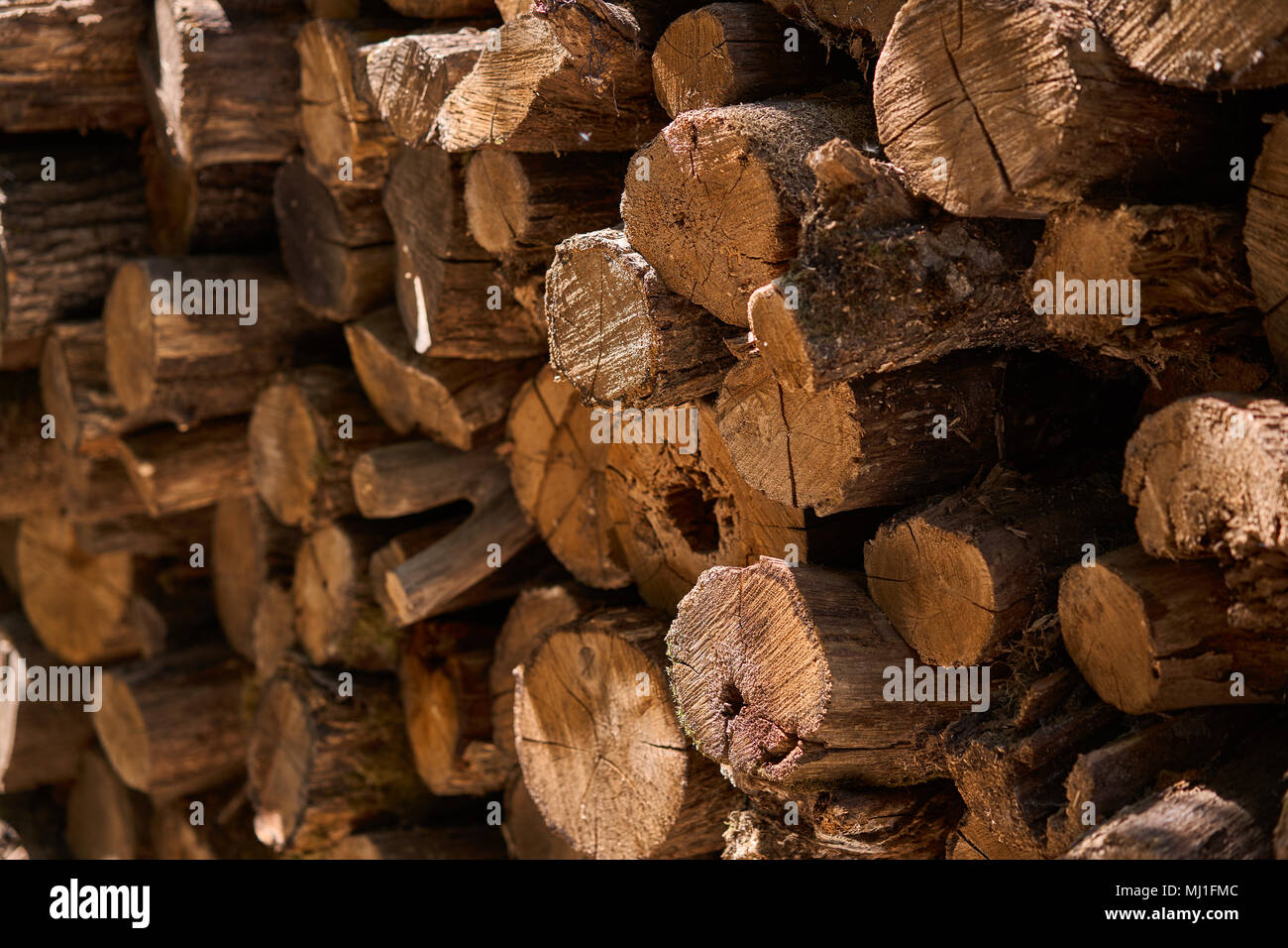 wooden logs neatly folded Stock Photo - Alamy