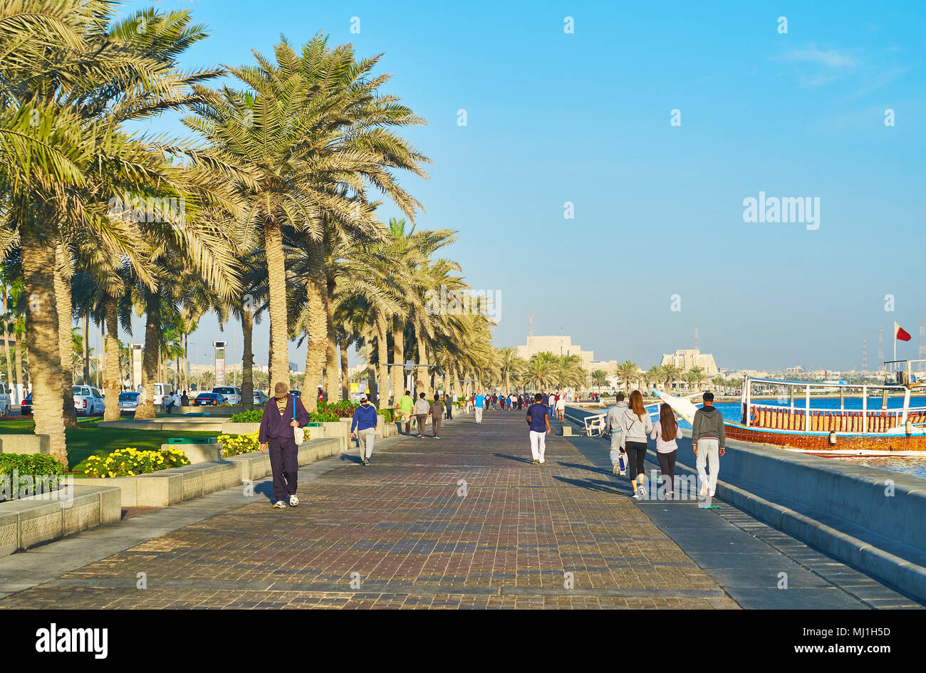 Corniche doha qatar palm tree hi-res stock photography and images - Alamy