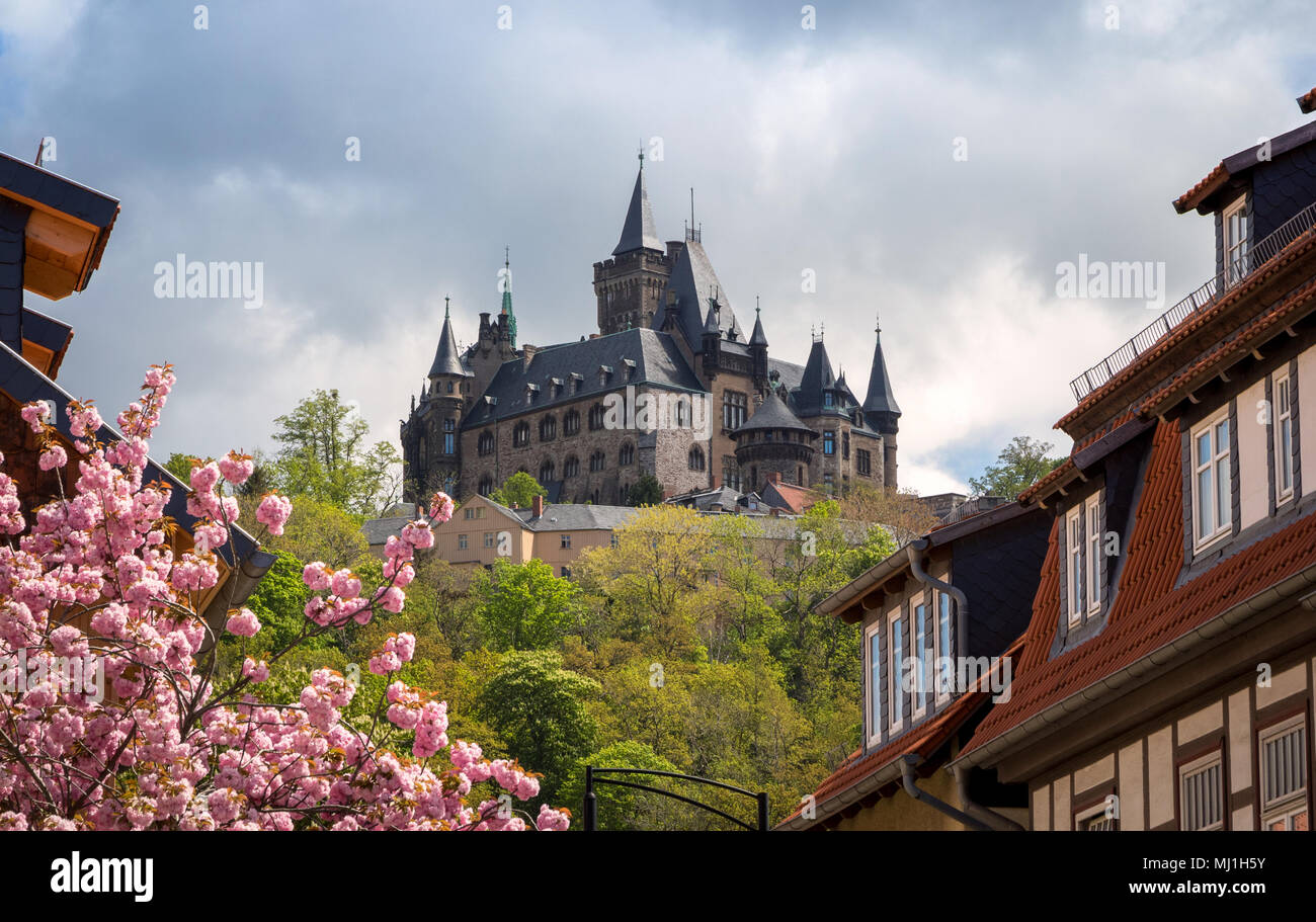 Wernigerode Castle High Resolution Stock Photography and Images - Alamy