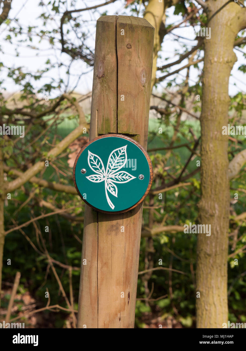 close up green and white leaf wooden sign on post details; essex ...