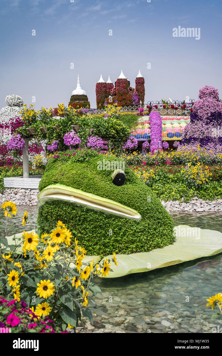 A floral frog at the Miracle Gardens in Dubai, UAE, Middle East Stock ...