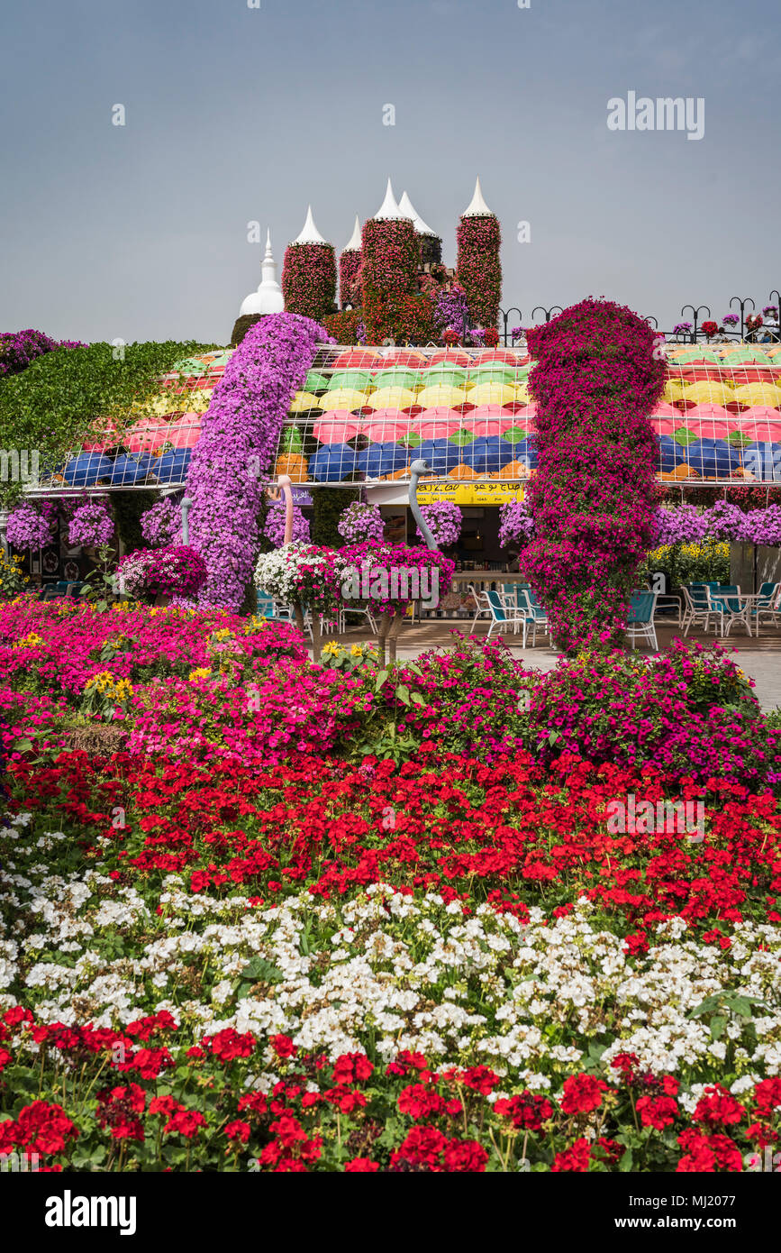 The Miracle Gardens in Dubai, UAE, Middle East Stock Photo - Alamy