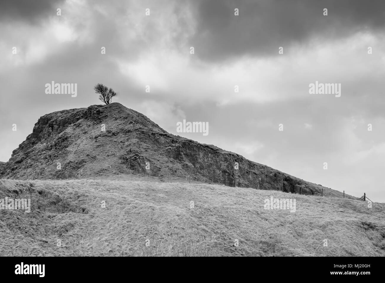 Tree on top of the rocky hill and dark,dramatic,cloudysky.Peak District ...