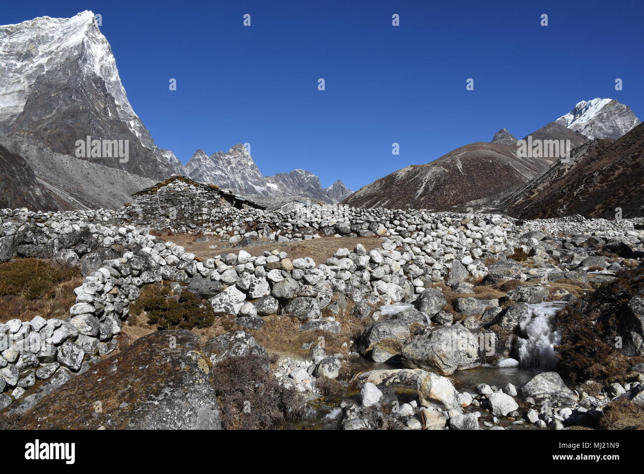 Old Yak farm in the Pheriche Valley, Nepal Stock Photo - Alamy