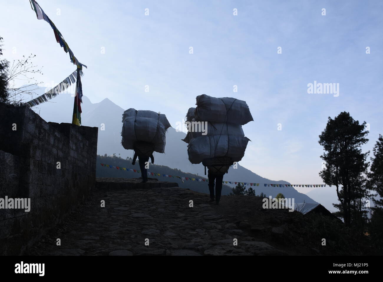 Porter carrying heavy load in the Himalayas, Nepal Stock Photo - Alamy