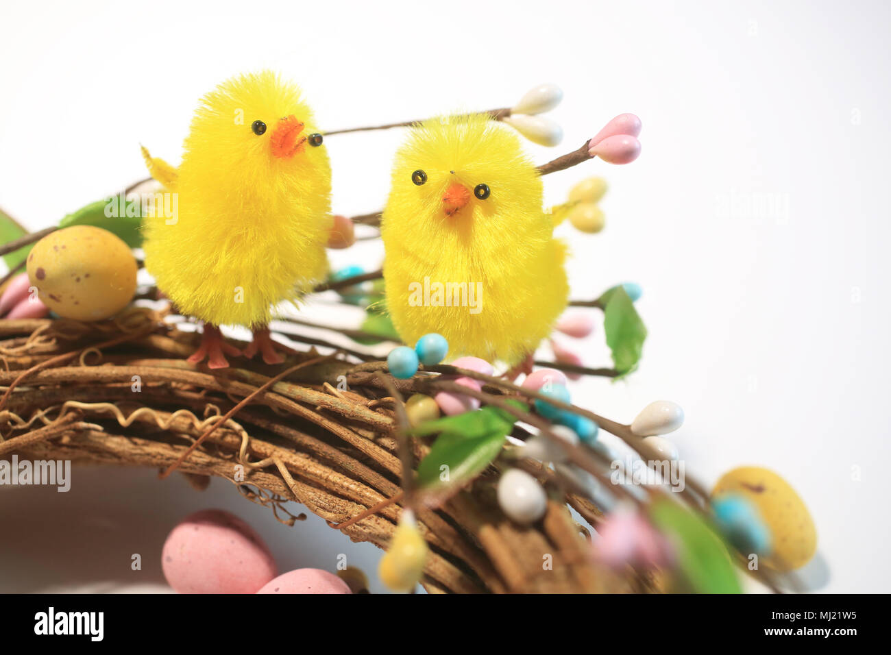 Easter chocolate chicks hi-res stock photography and images - Alamy