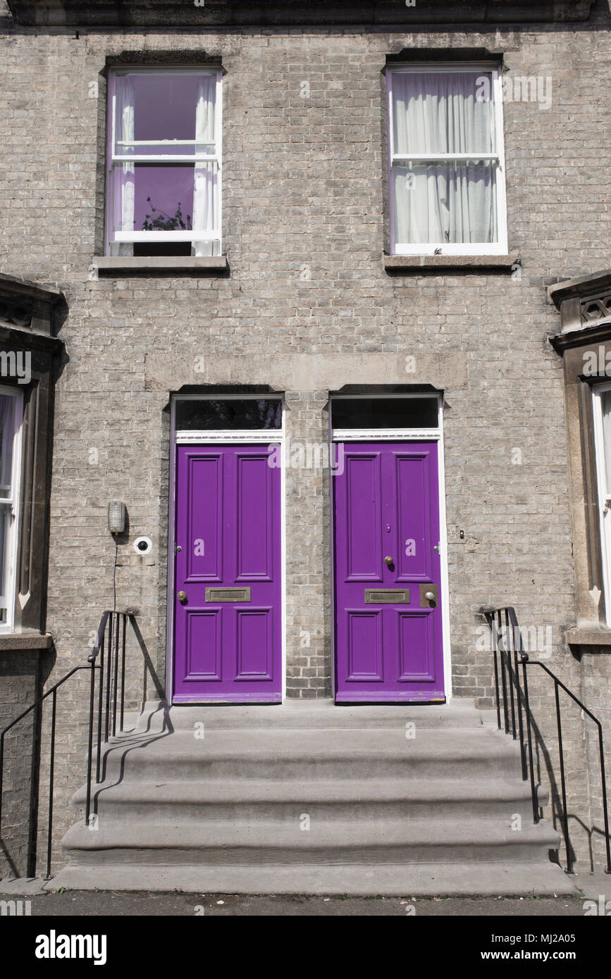 Purple And Pink Building