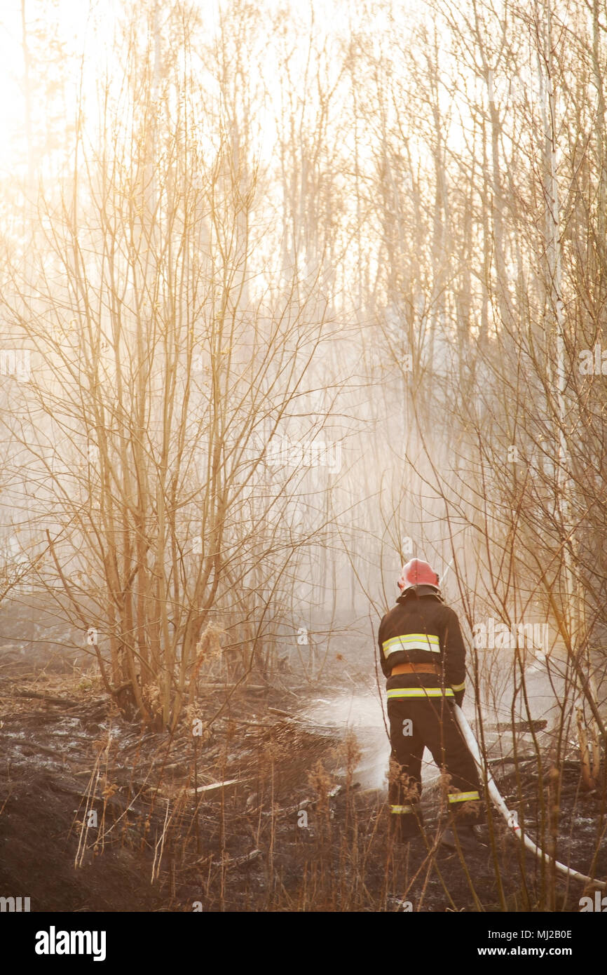 Rescuers extinguish forest fire Stock Photo - Alamy