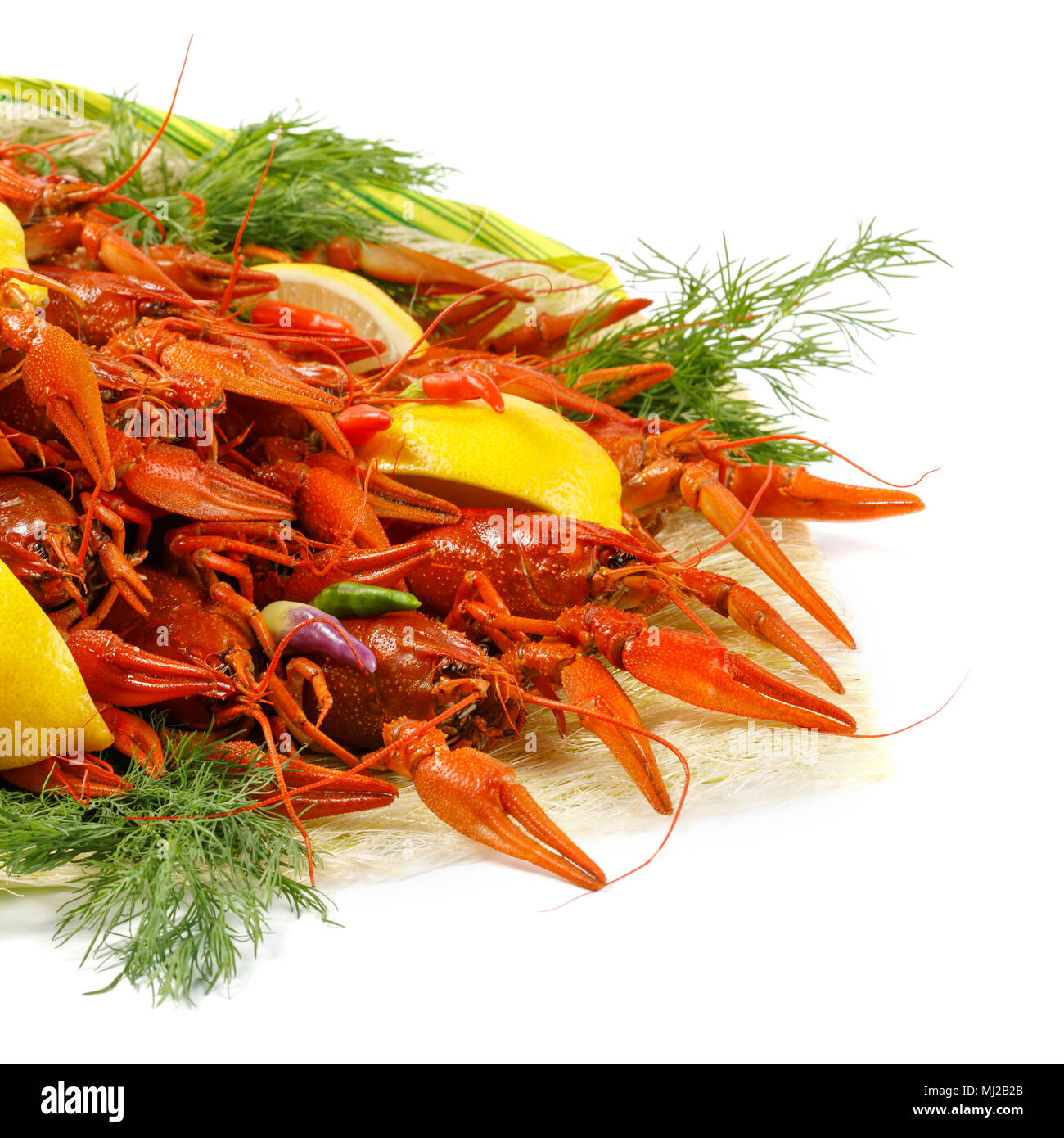 Bright red boiled crayfish with dill and lemon on a white background ...