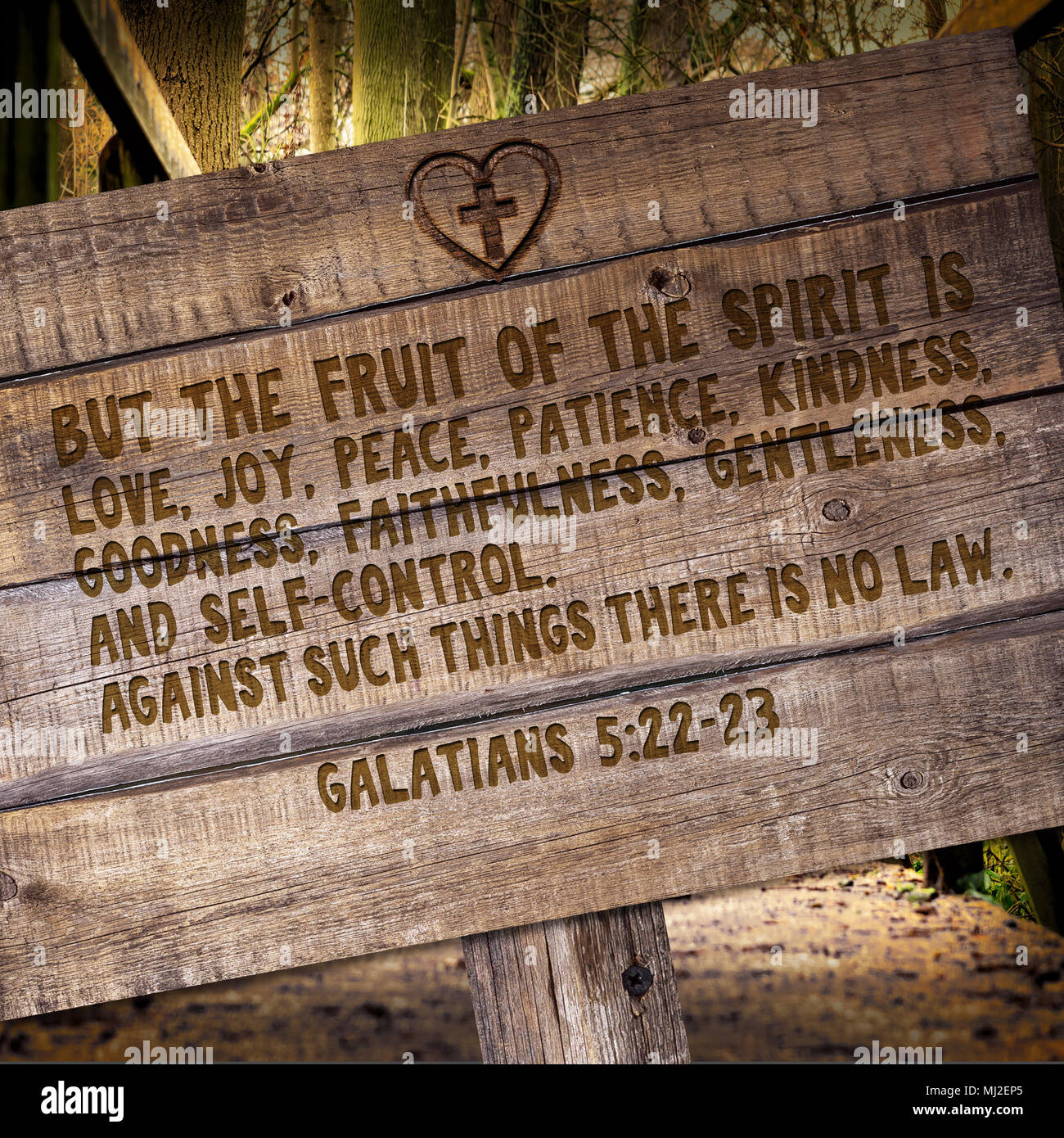 But the fruit of the spirit is love, joy, peace, patience, kindness ...