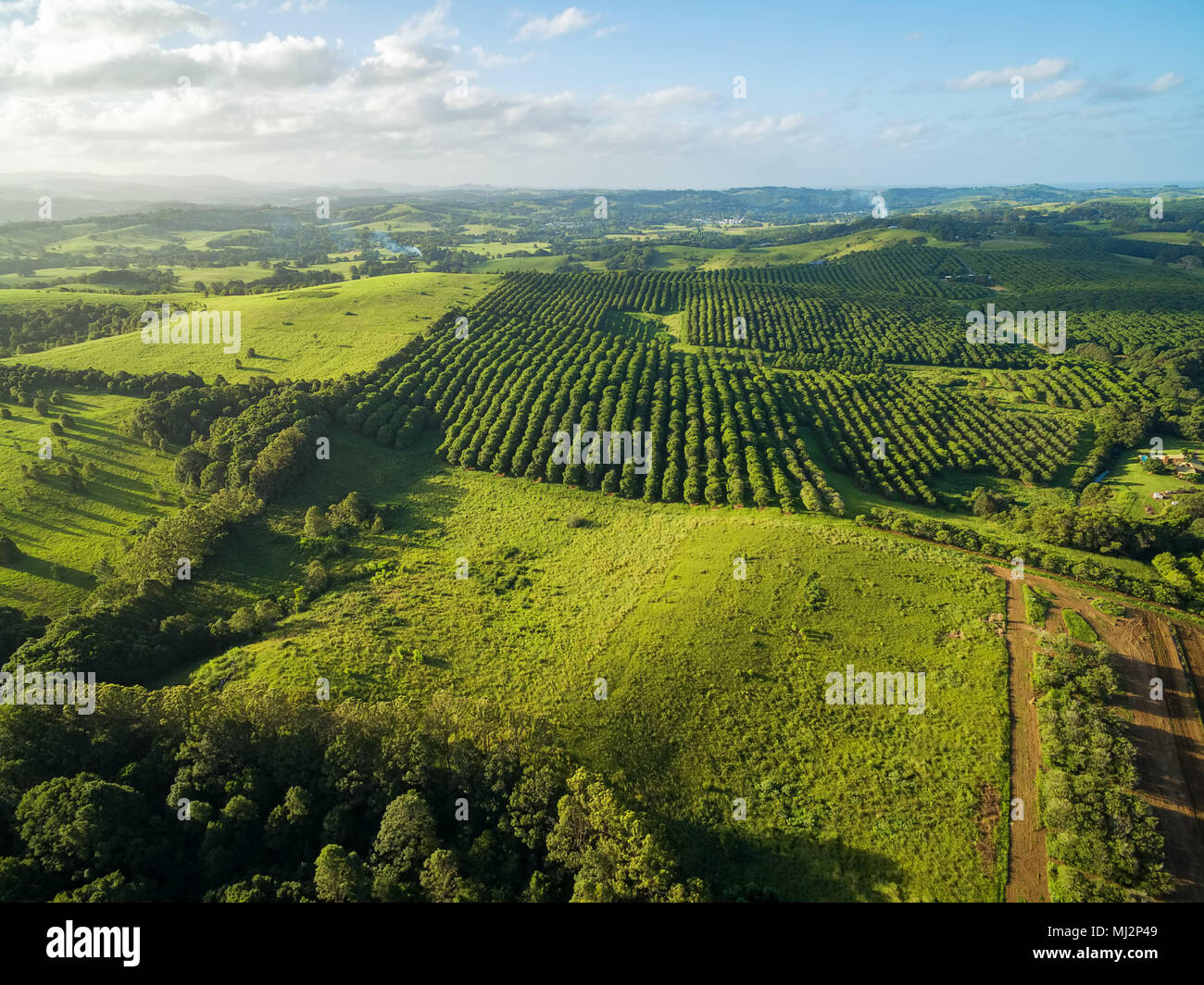 Australian landscape farm sunset hi-res stock photography and images ...