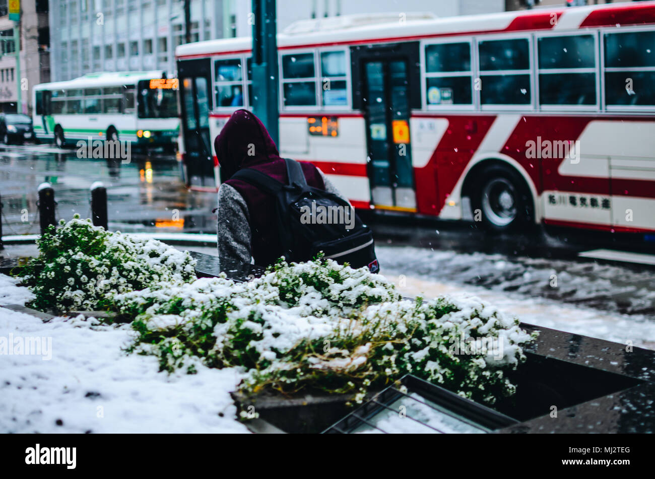 Asahikawa city museum hi-res stock photography and images - Alamy