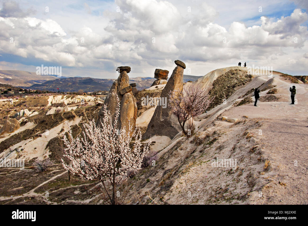 Fairy chimneys cappadocia, turkey hi-res stock photography and images ...