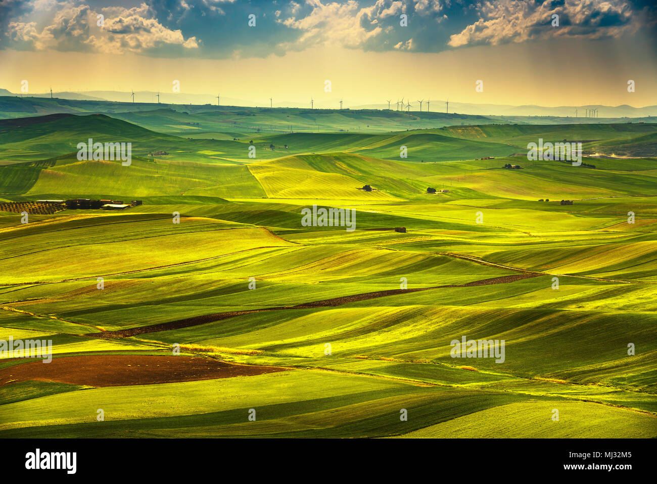 Apulia countryside view, rolling hills and green fields landscape ...