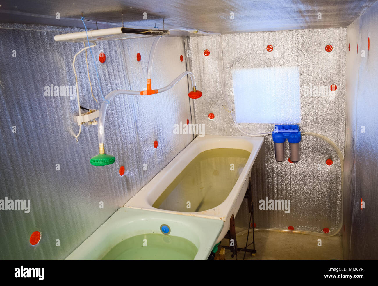 A room for growing fish fry. Bath for the fry. A fish-nursery Stock ...