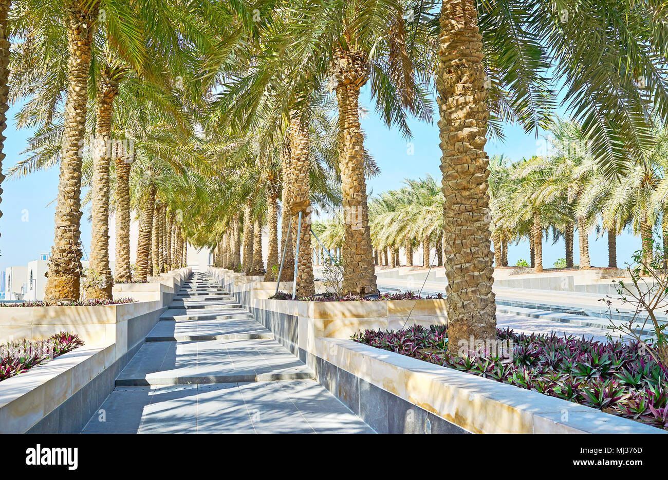 The shady palm garden stretches along the hilly way to the Islamic Arts ...
