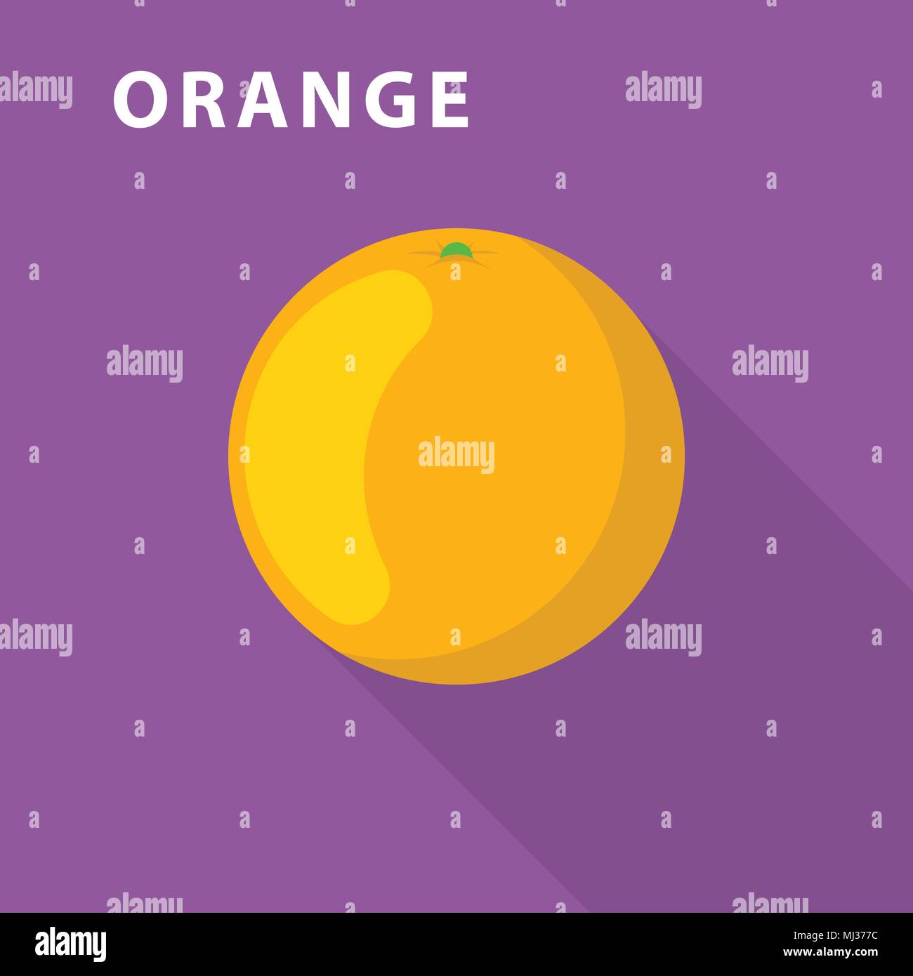 Orange cross section seeds Stock Vector Images - Alamy