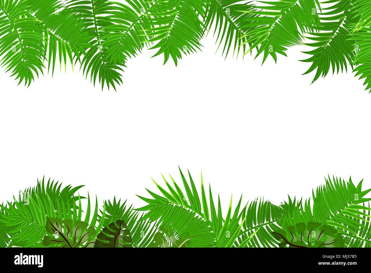 Palm green leaf isolated Stock Vector Images - Alamy