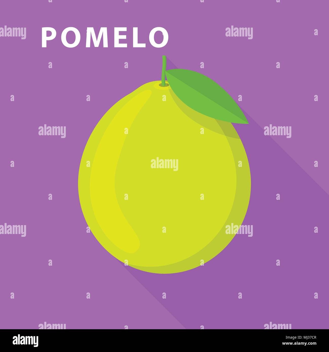 Pomelo chinese citrus fruit Stock Vector Images - Alamy