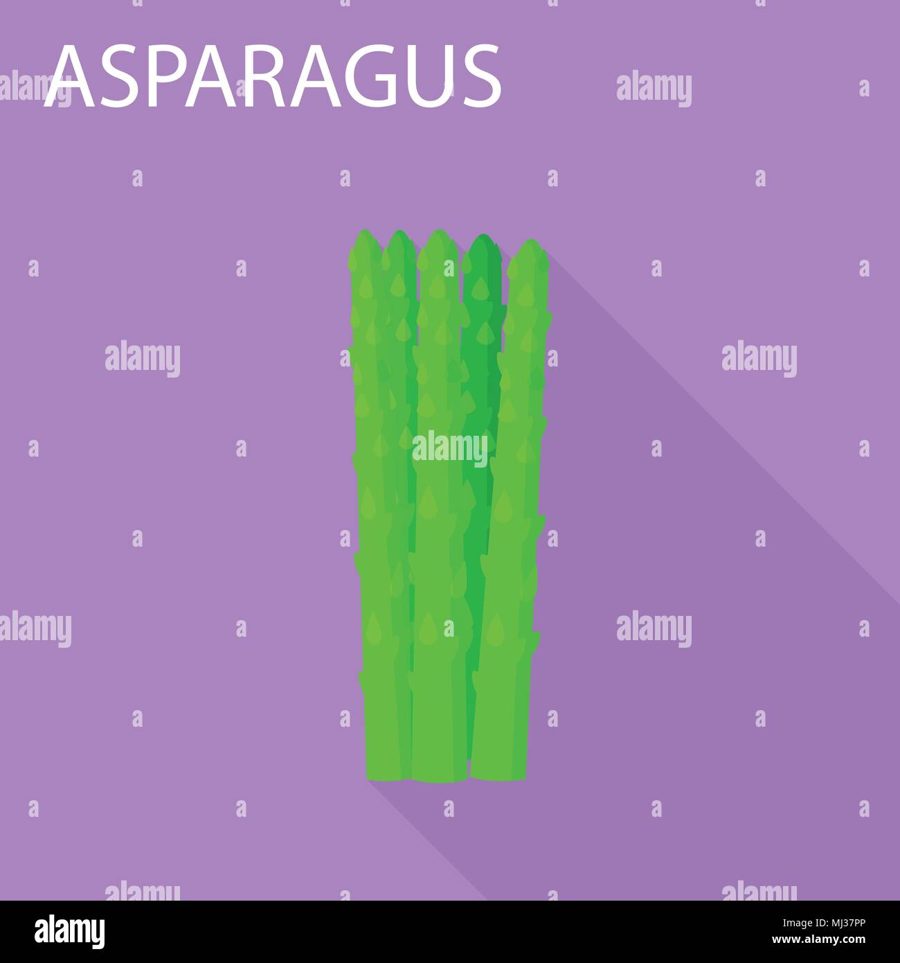 Bunch fresh asparagus drawn Stock Vector Images - Alamy