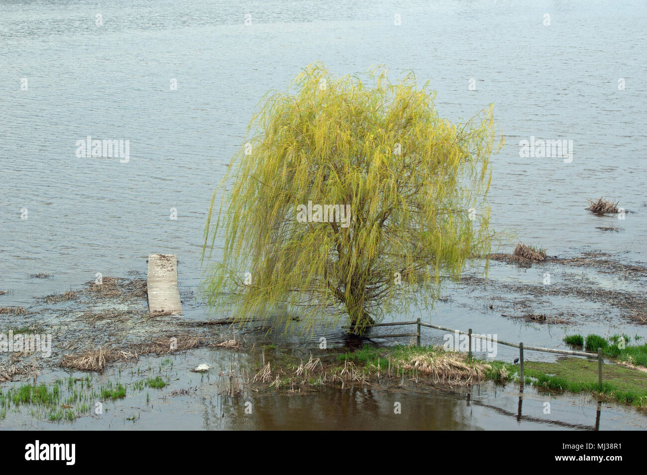 Boat dock spring hi-res stock photography and images - Alamy