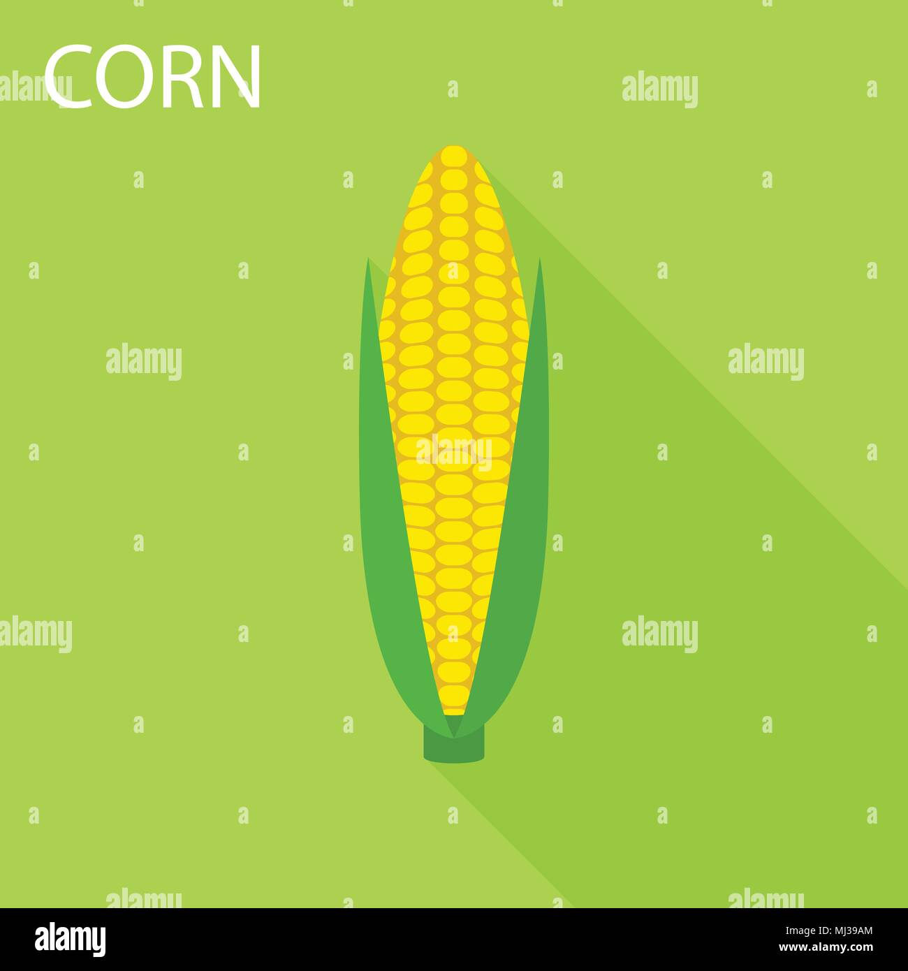 Corn crop close Stock Vector Images - Alamy