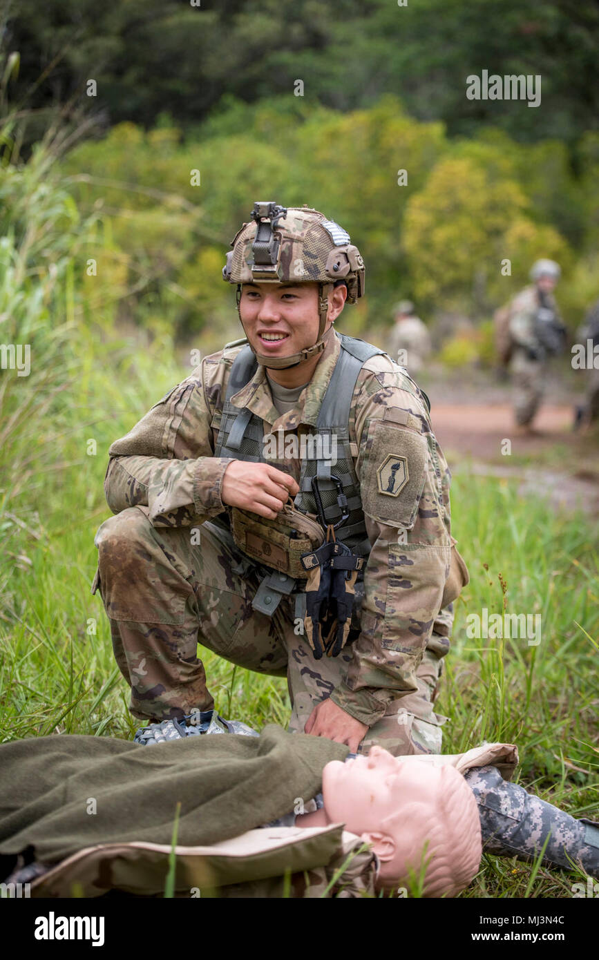 100th infantry battalion hawaii hi-res stock photography and images - Alamy