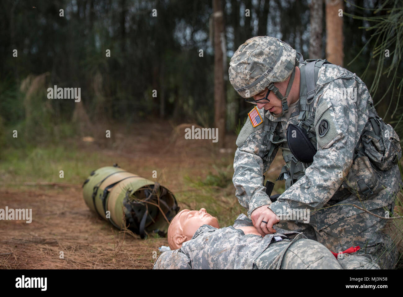Image collection celebrating the bravery dedication commitment a hi-res ...