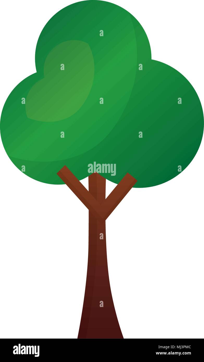 green leafy tree foliage natural image vector illustration Stock Vector ...