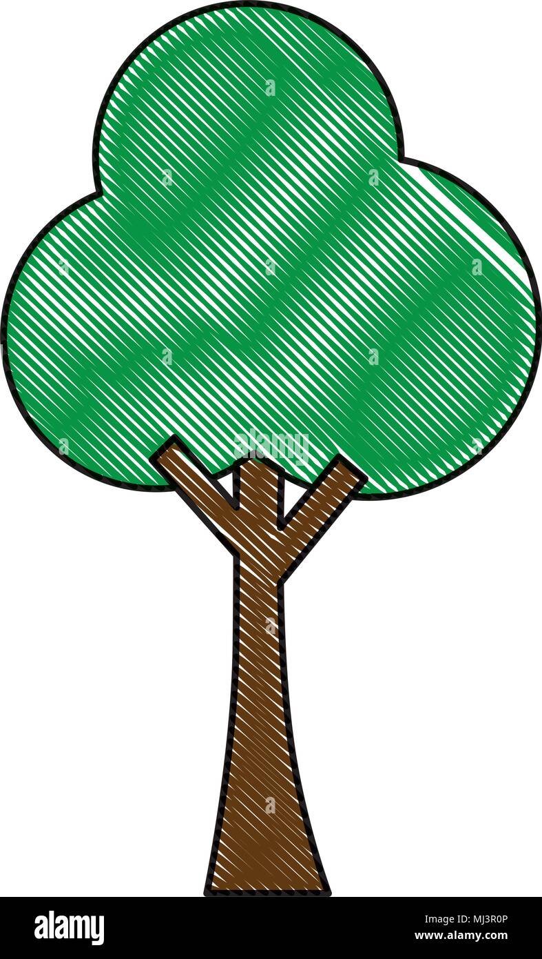 green leafy tree foliage natural image vector illustration drawing ...