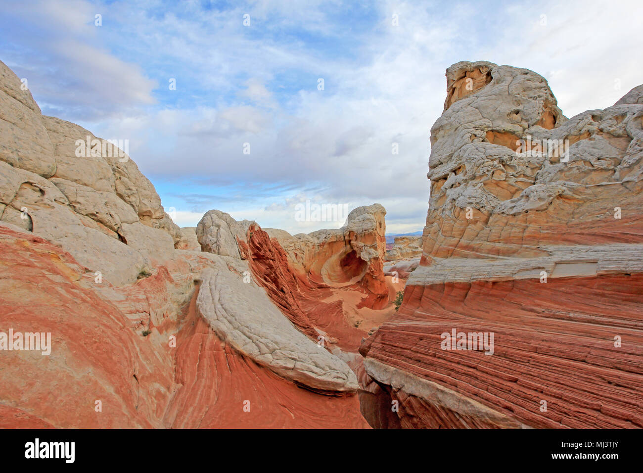 Butterfly, a rock formation at White Pocket, Coyote Buttes South CBS ...