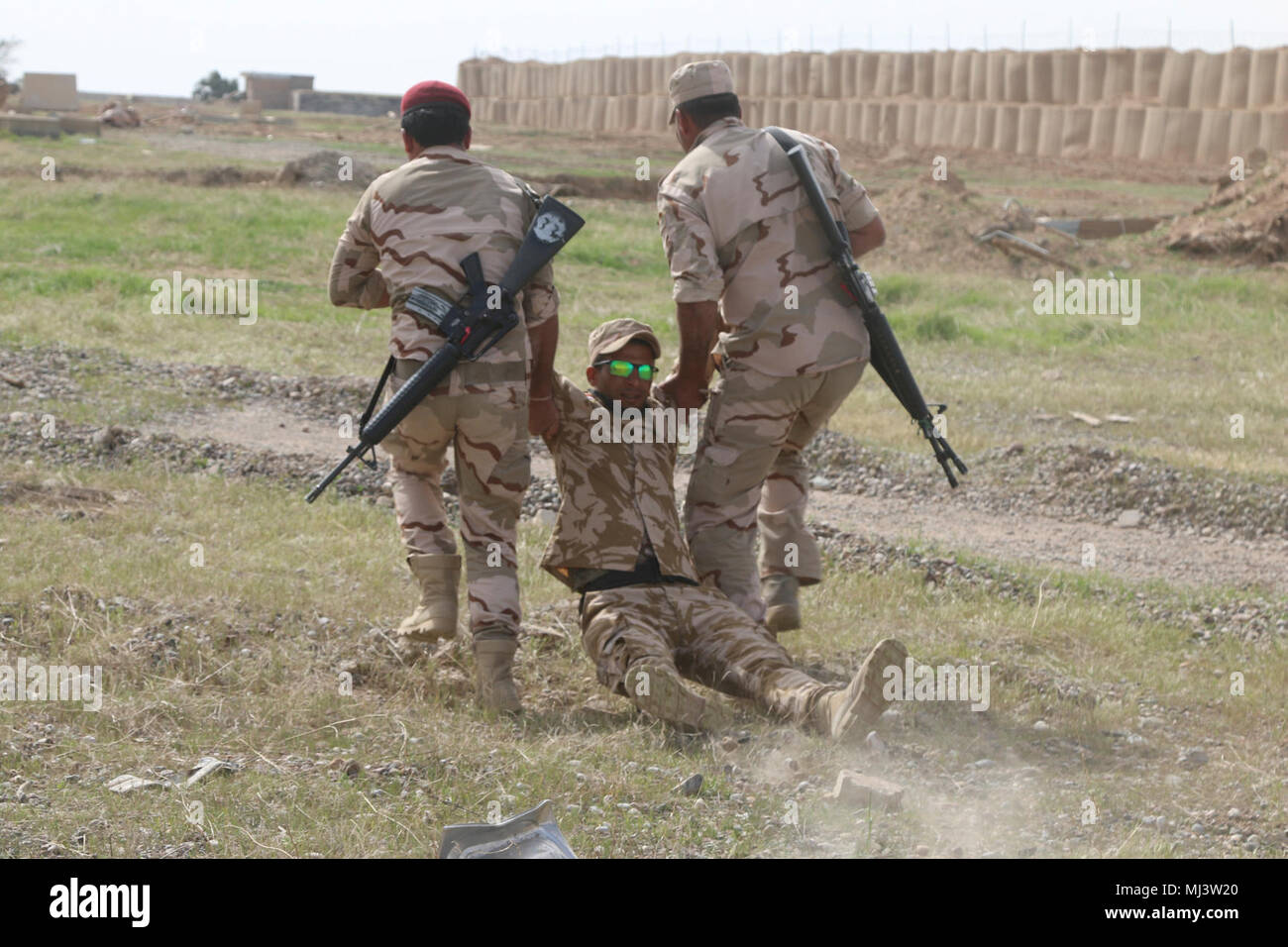 10th mountain division light infantry hi-res stock photography and ...