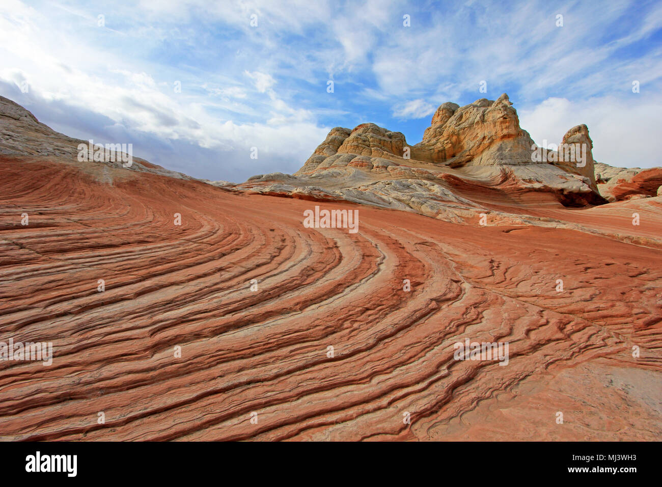 Butterfly, a rock formation at White Pocket, Coyote Buttes South CBS ...