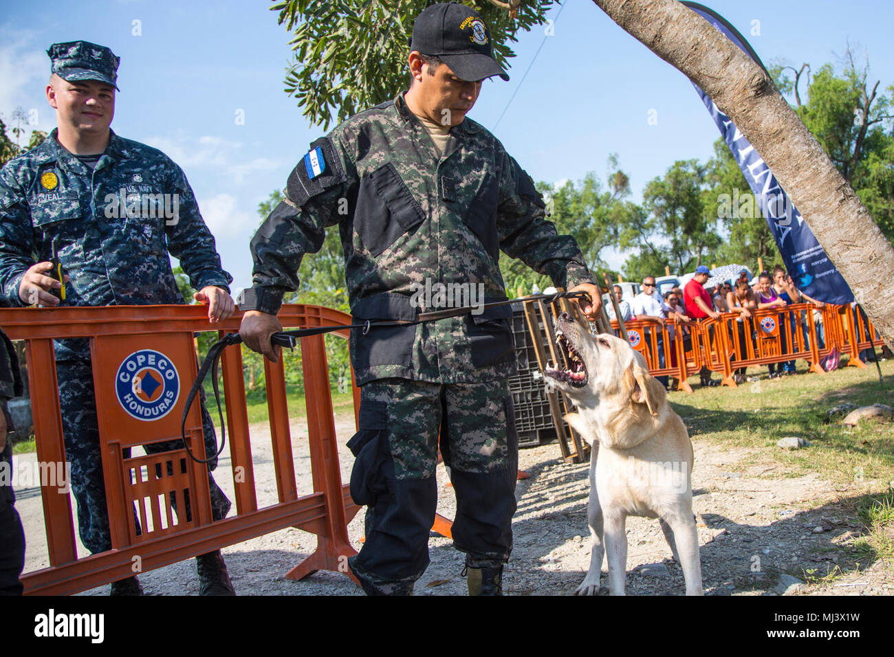 PUERTO CORTES, Honduras (March 20, 2018) Honduran sailor walks dog ...