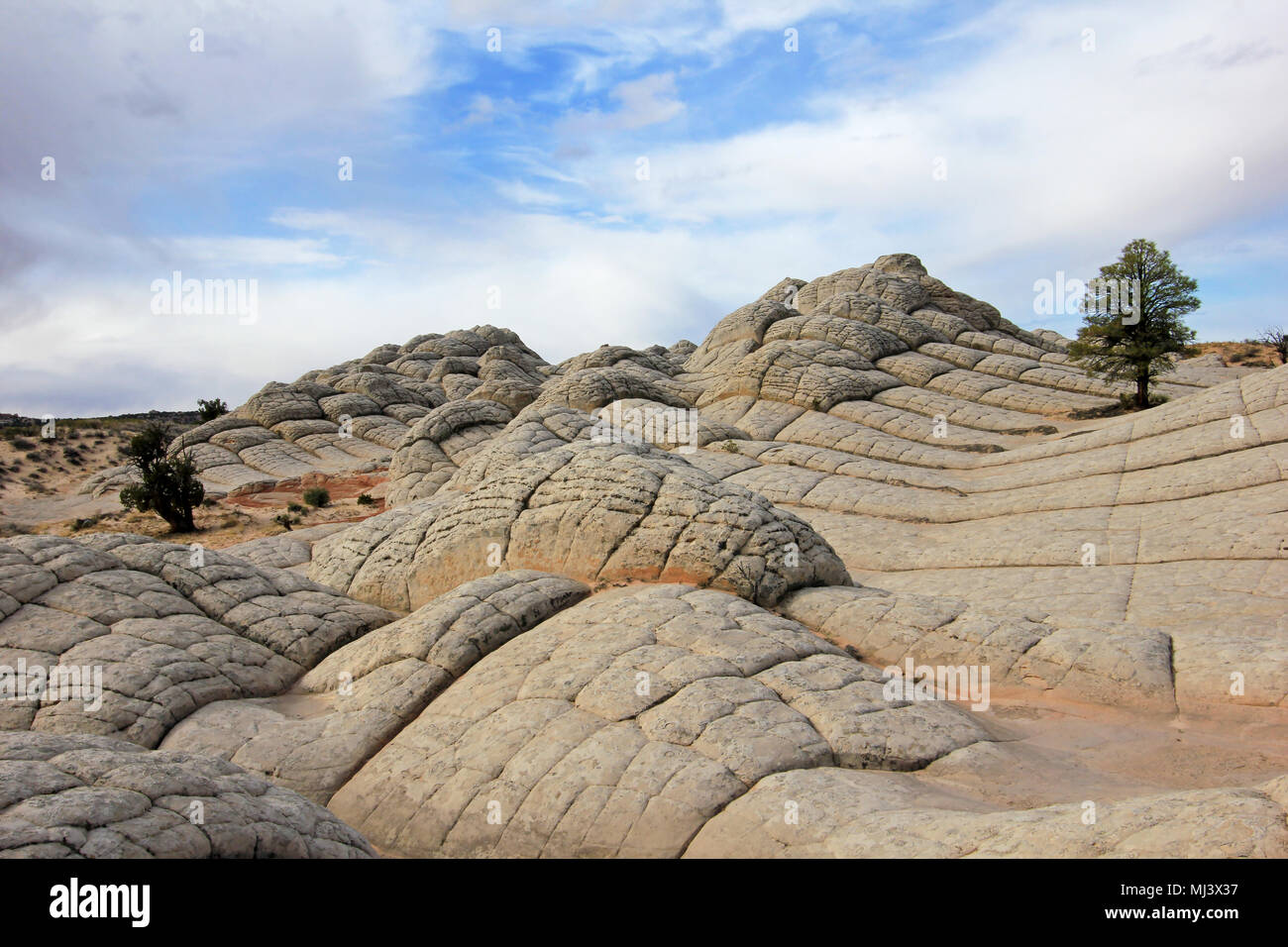 The Brain, a rock formation at White Pocket, Coyote Buttes South CBS ...