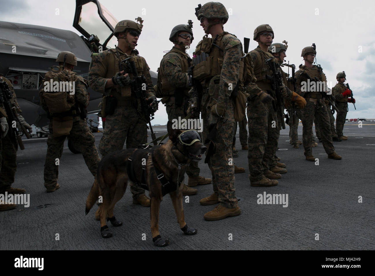 Force Reconnaissance Marines with Maritime Raid Force, 31st Marine ...