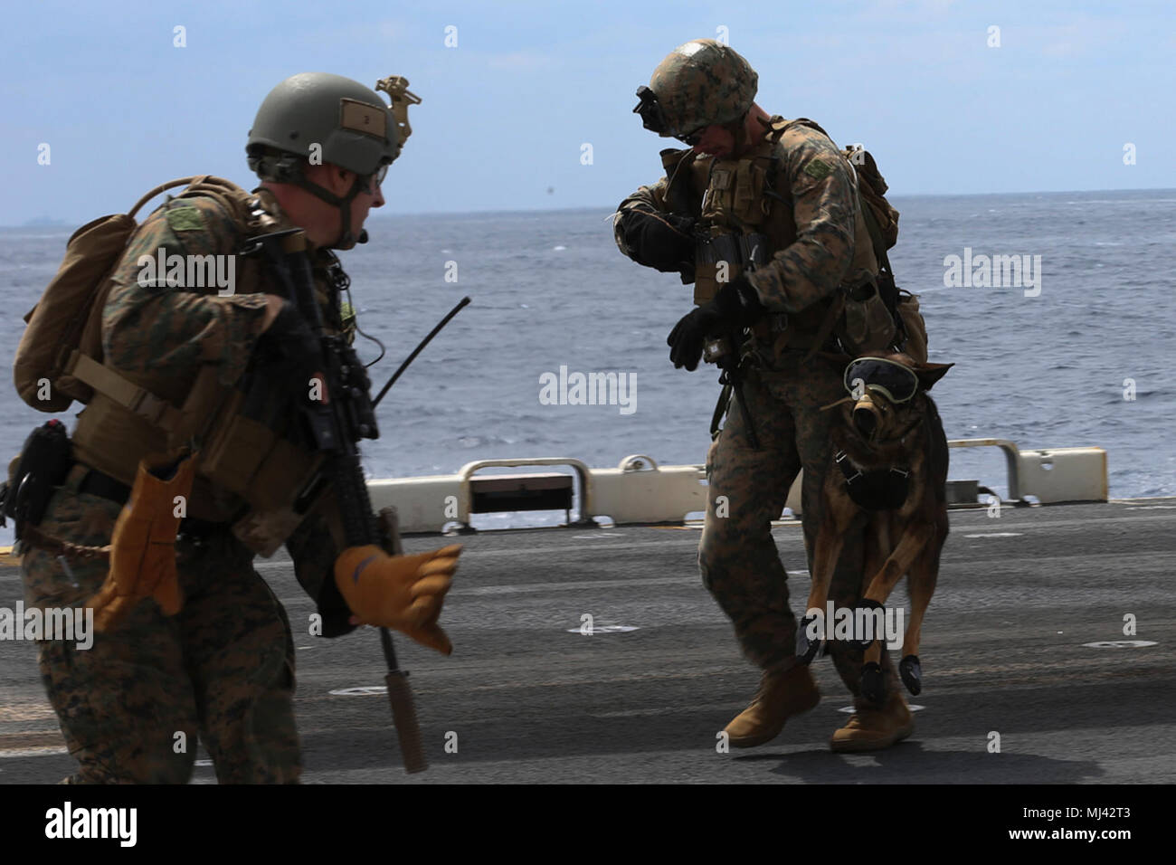 Force Reconnaissance Marines with Maritime Raid Force, 31st Marine ...