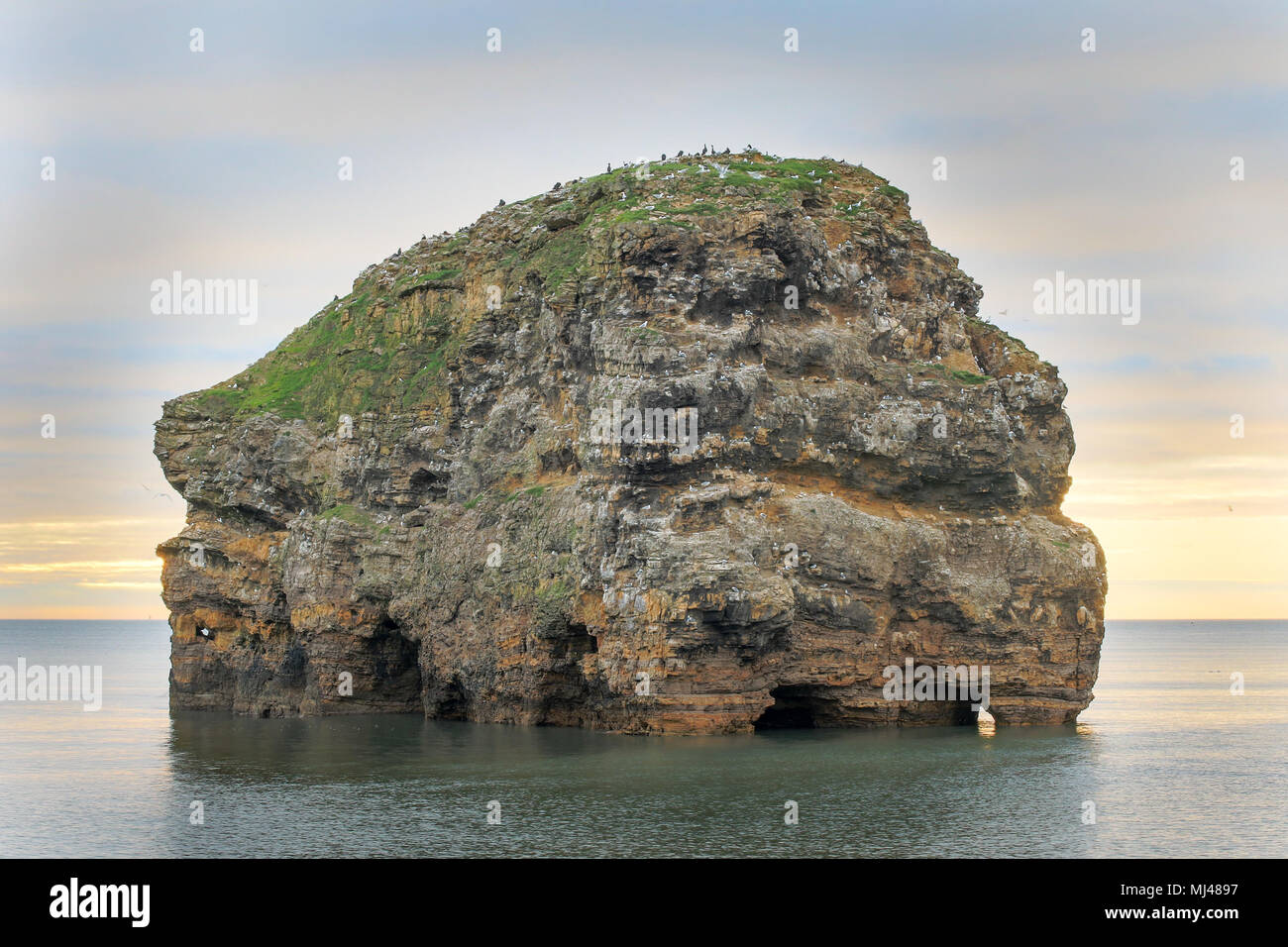 Rock marsden bay south tyneside hi-res stock photography and images - Alamy