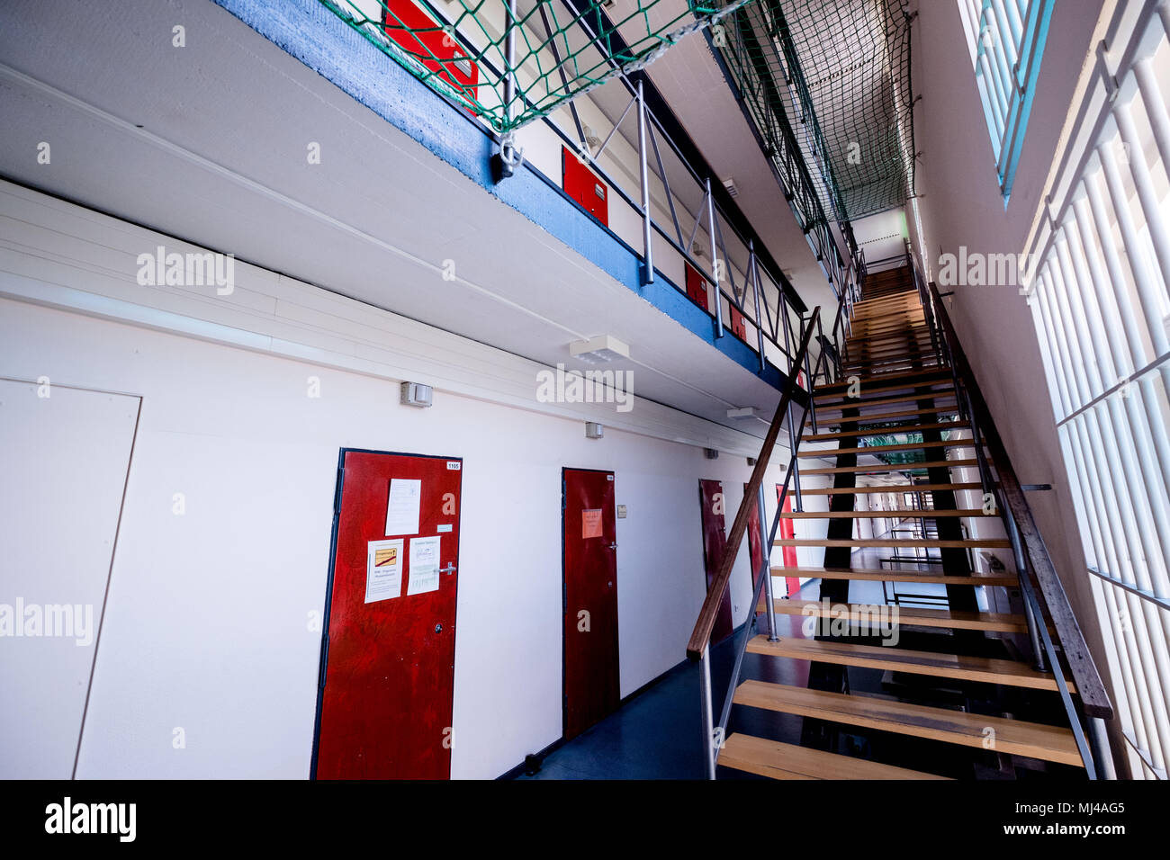Cells line hi-res stock photography and images - Alamy