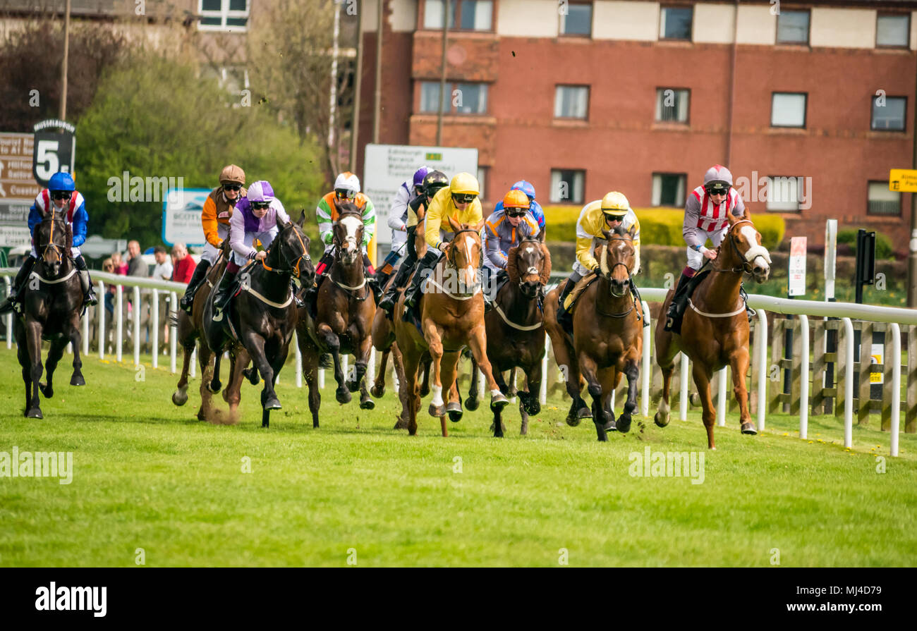 Musselburgh, Scotland, 4 May 2018. Musselburgh Race Course, Musselburgh ...